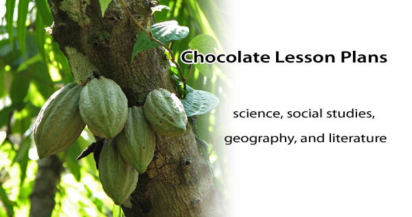 chocolate-panel - FreshPlans