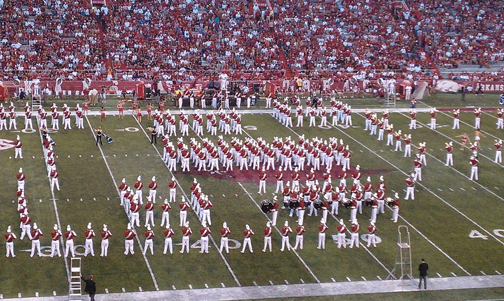 Razorback-band - FreshPlans